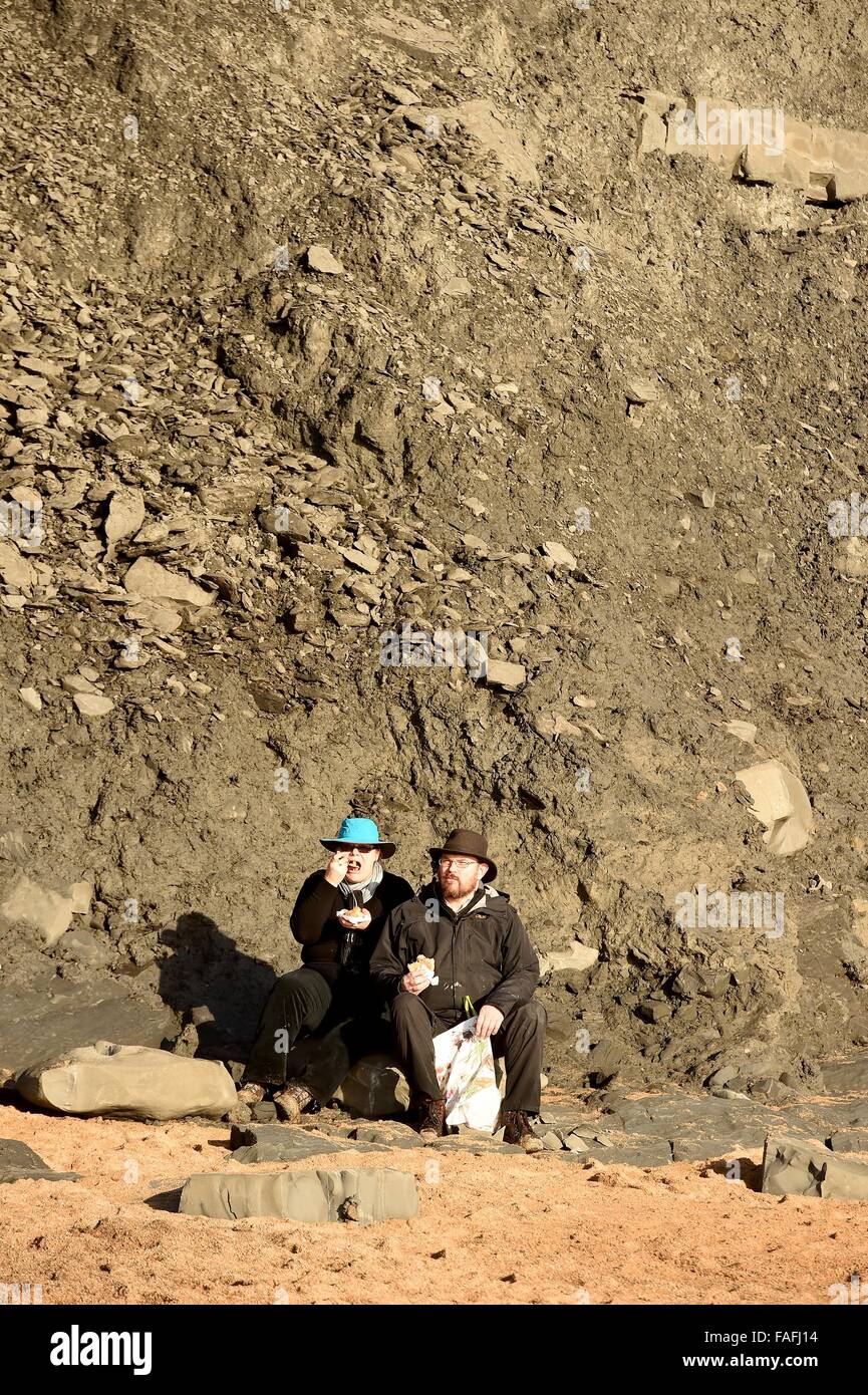 Charmouth beach cliff fall, Dorset, Britain, UK Stock Photo - Alamy