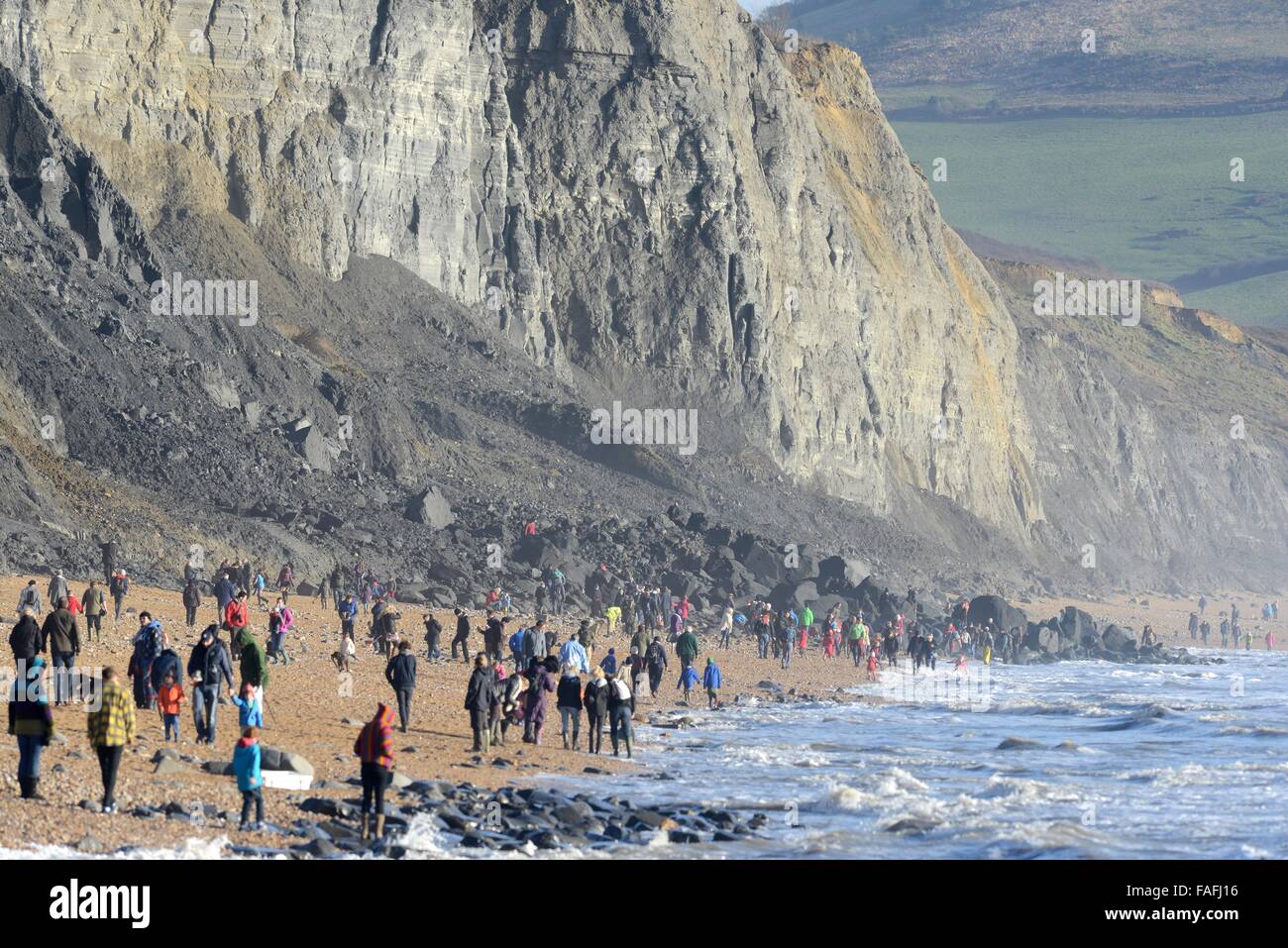 Charmouth beach cliff fall, Dorset, Britain, UK Stock Photo - Alamy