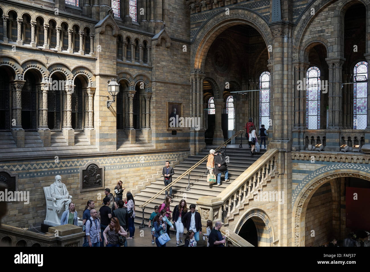 People exploring the National History Museum in London Stock Photo - Alamy