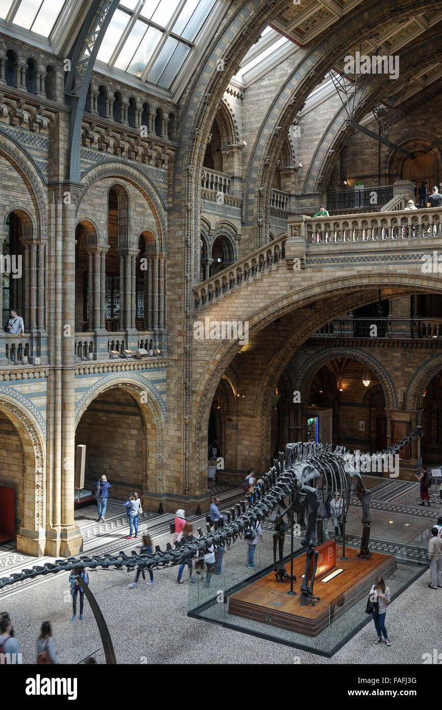 People exploring the National History Museum in London Stock Photo - Alamy