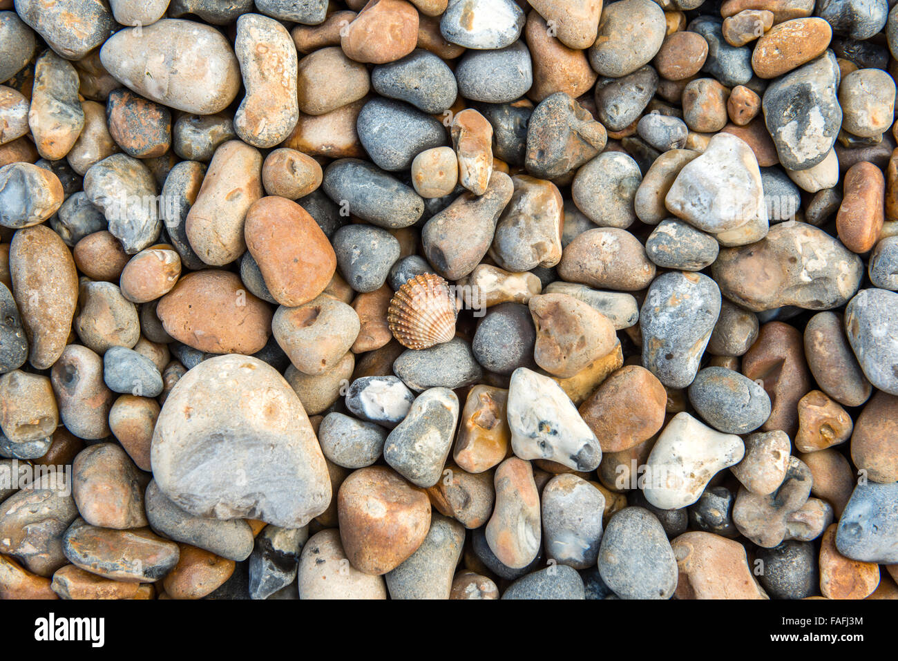 Large colorful pebbles and stones on a beach Stock Photo - Alamy
