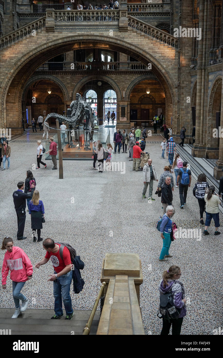 People exploring the National History Museum in London Stock Photo - Alamy