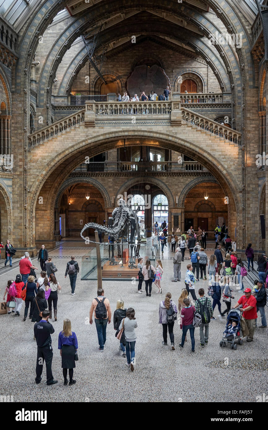 People exploring the National History Museum in London Stock Photo - Alamy