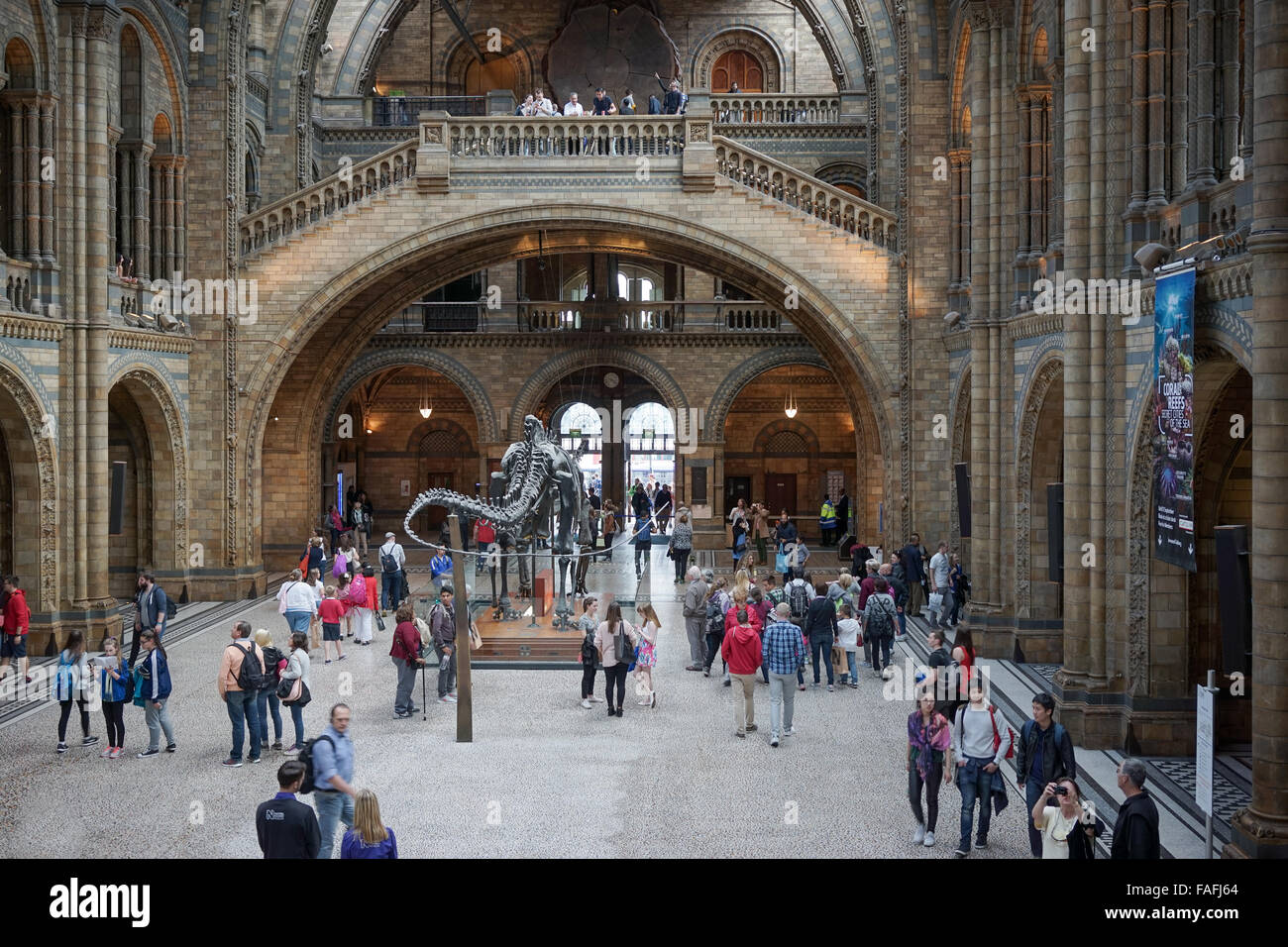 People exploring the National History Museum in London Stock Photo - Alamy