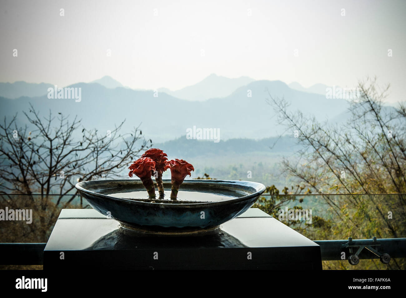 Peace Symbol in the museum in Thailand WW2 Hellfire Pass Stock Photo ...