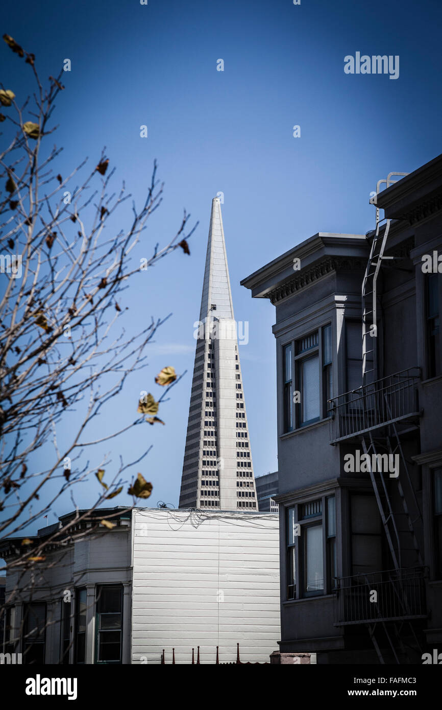 Transamerica Pyramid with old buildings in San Francisco downtown Stock ...