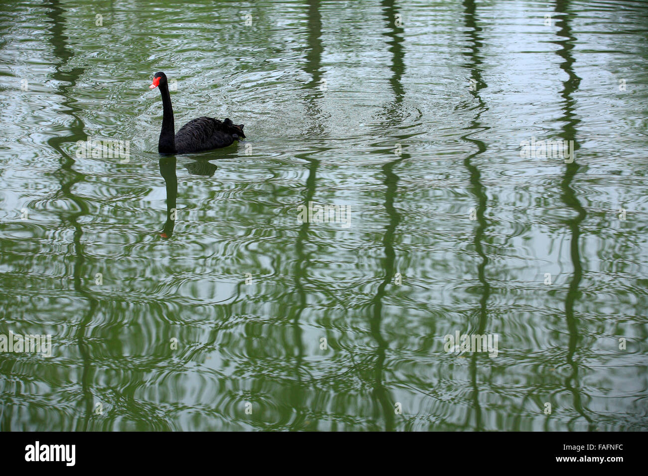 Jiangsu jiangyan hi-res stock photography and images - Alamy