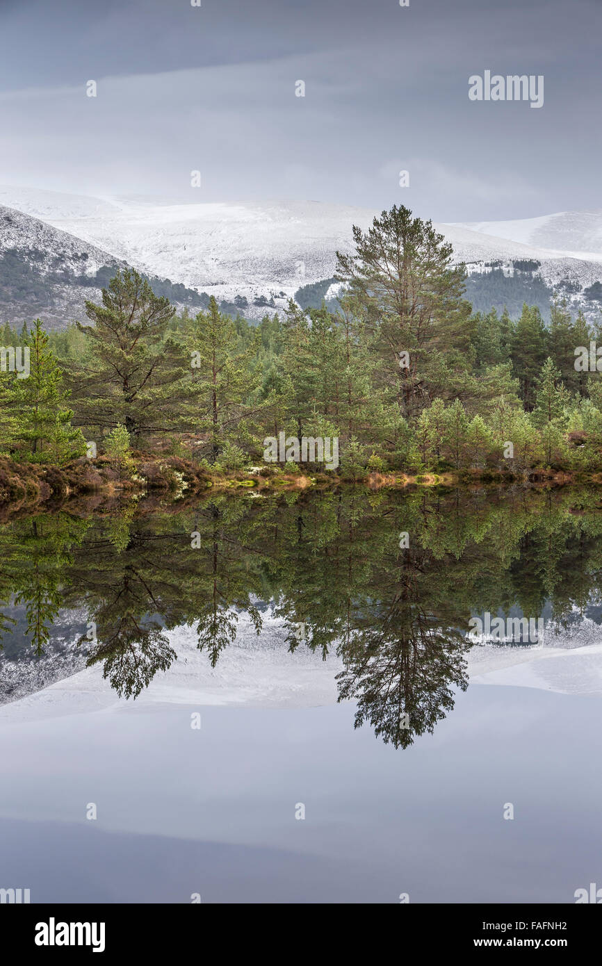 Uath Lochan & Cairngorms at Glen Feshie in Scotland Stock Photo - Alamy