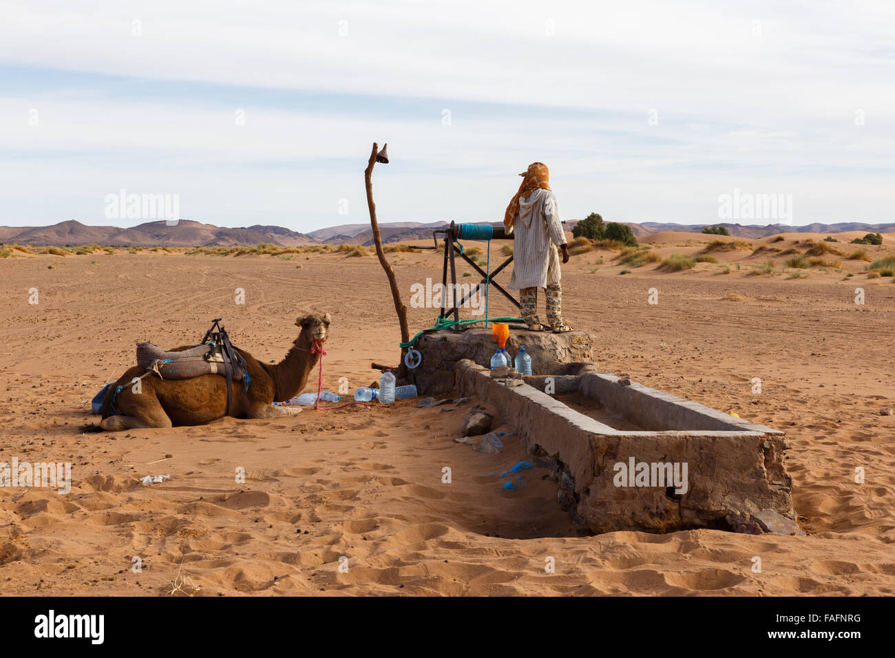 Water camel well hi-res stock photography and images - Alamy