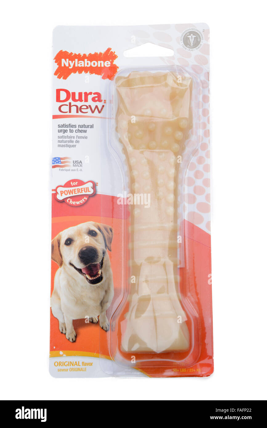 Are White Bones Good For Dogs