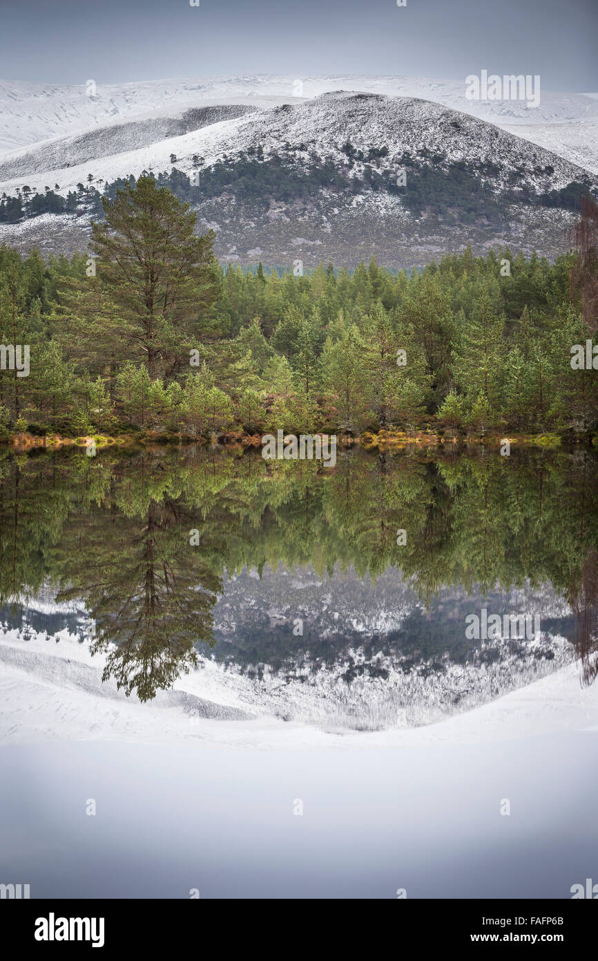 Uath Lochan & Cairngorms at Glen Feshie in Scotland Stock Photo - Alamy