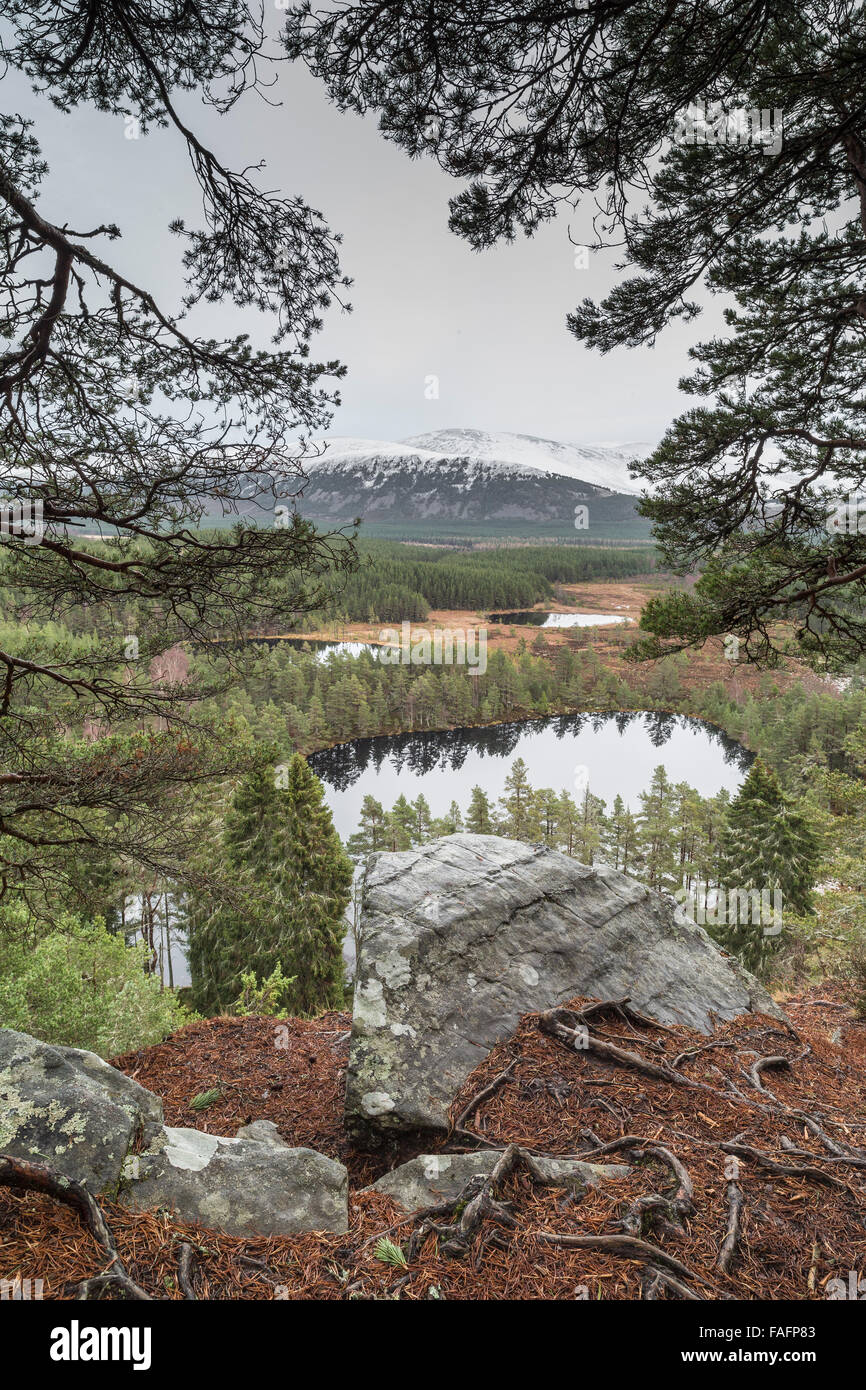 Uath Lochan at Glen Feshie in the Cairngorms National Park of Scotland ...