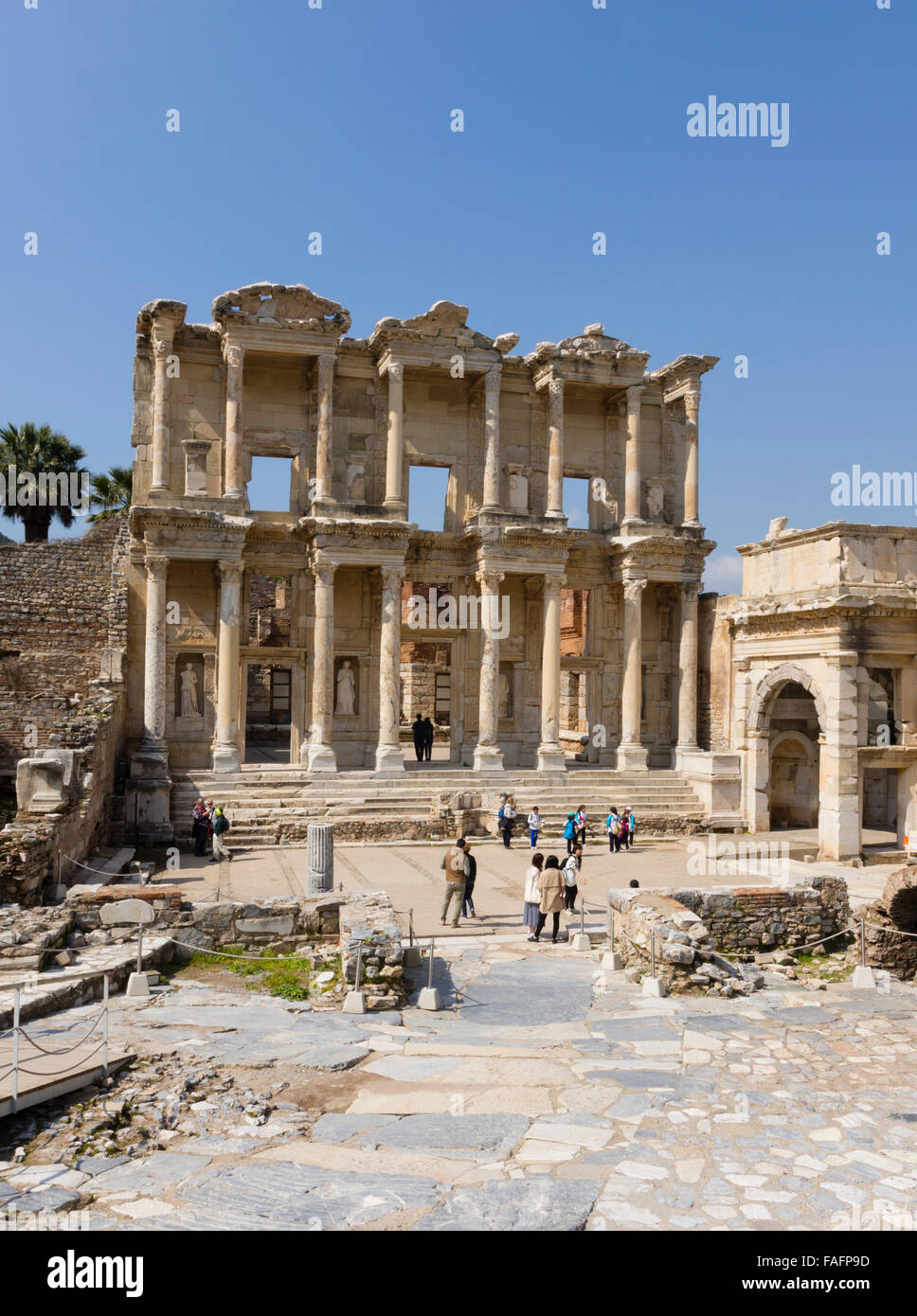 Celsis library hi-res stock photography and images - Alamy