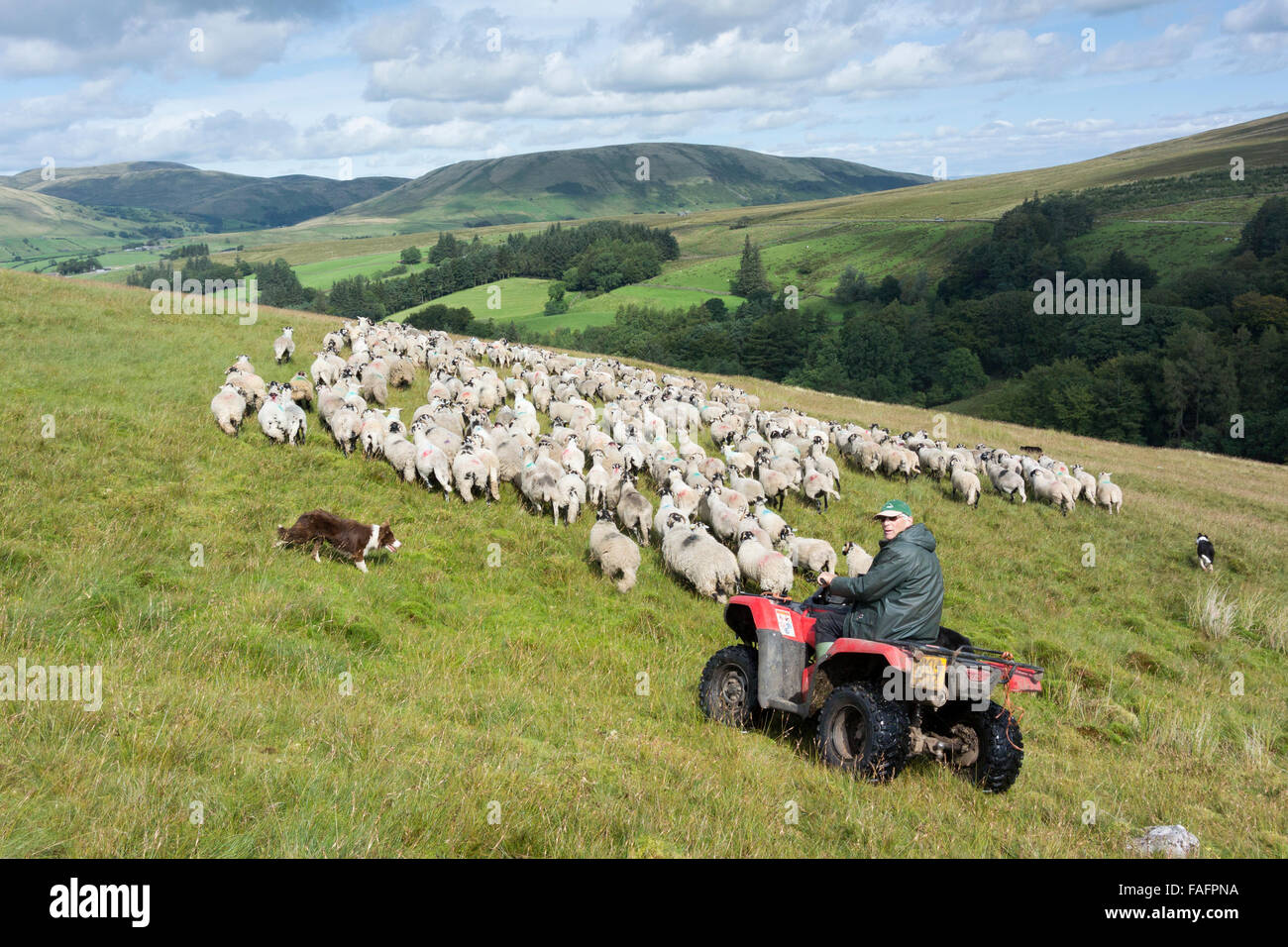 Gathering land hi-res stock photography and images - Alamy