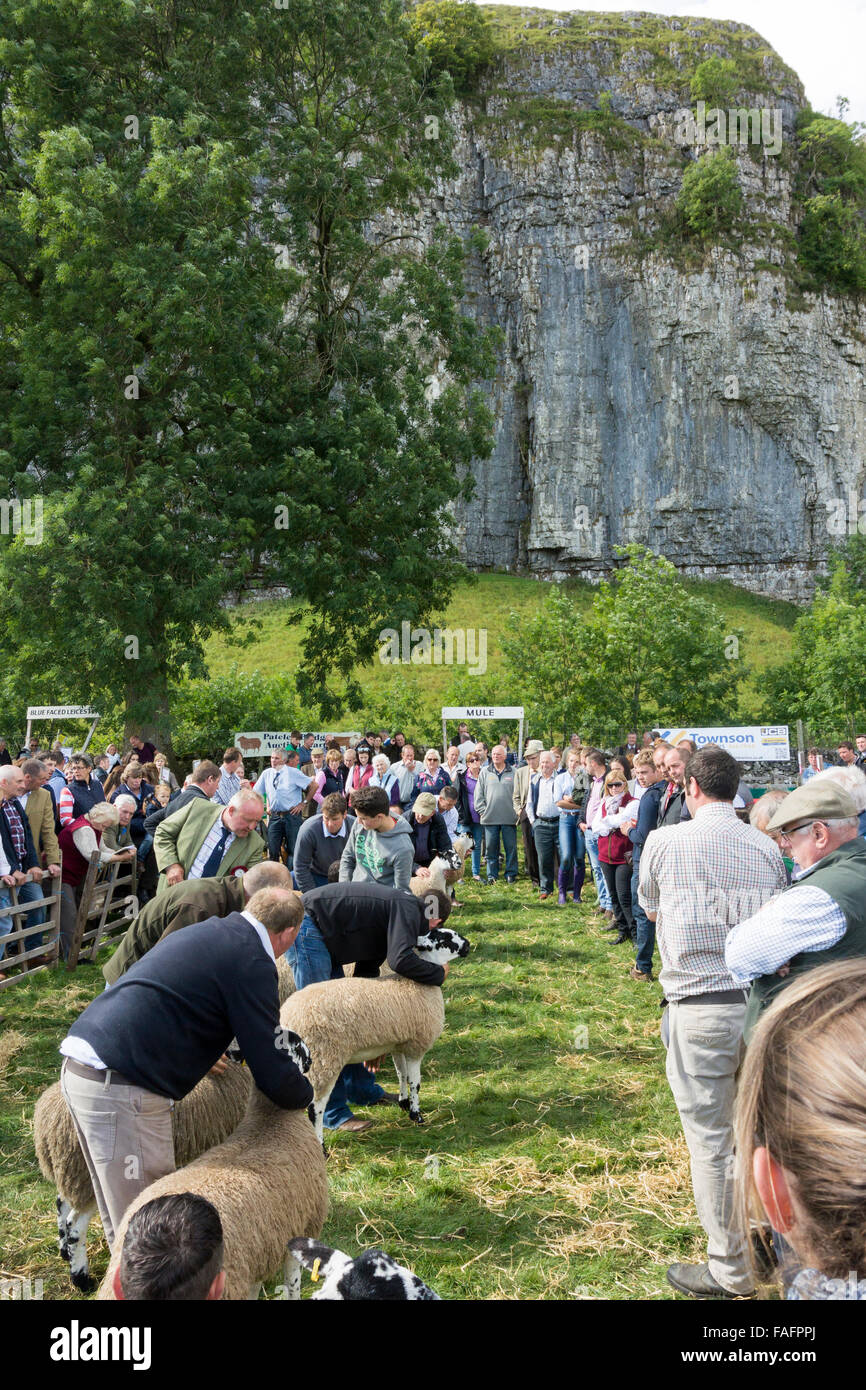 Kilnsey show yorkshire dales hi-res stock photography and images - Alamy