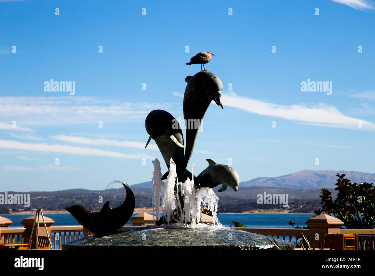 Monterey dolphin statue hi-res stock photography and images - Alamy