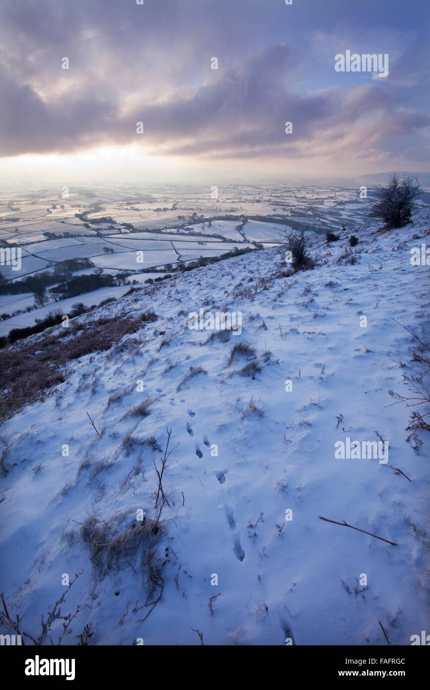 The Beacons Way footpath over Skirrid Fawr in Monmouthshire, Wales ...