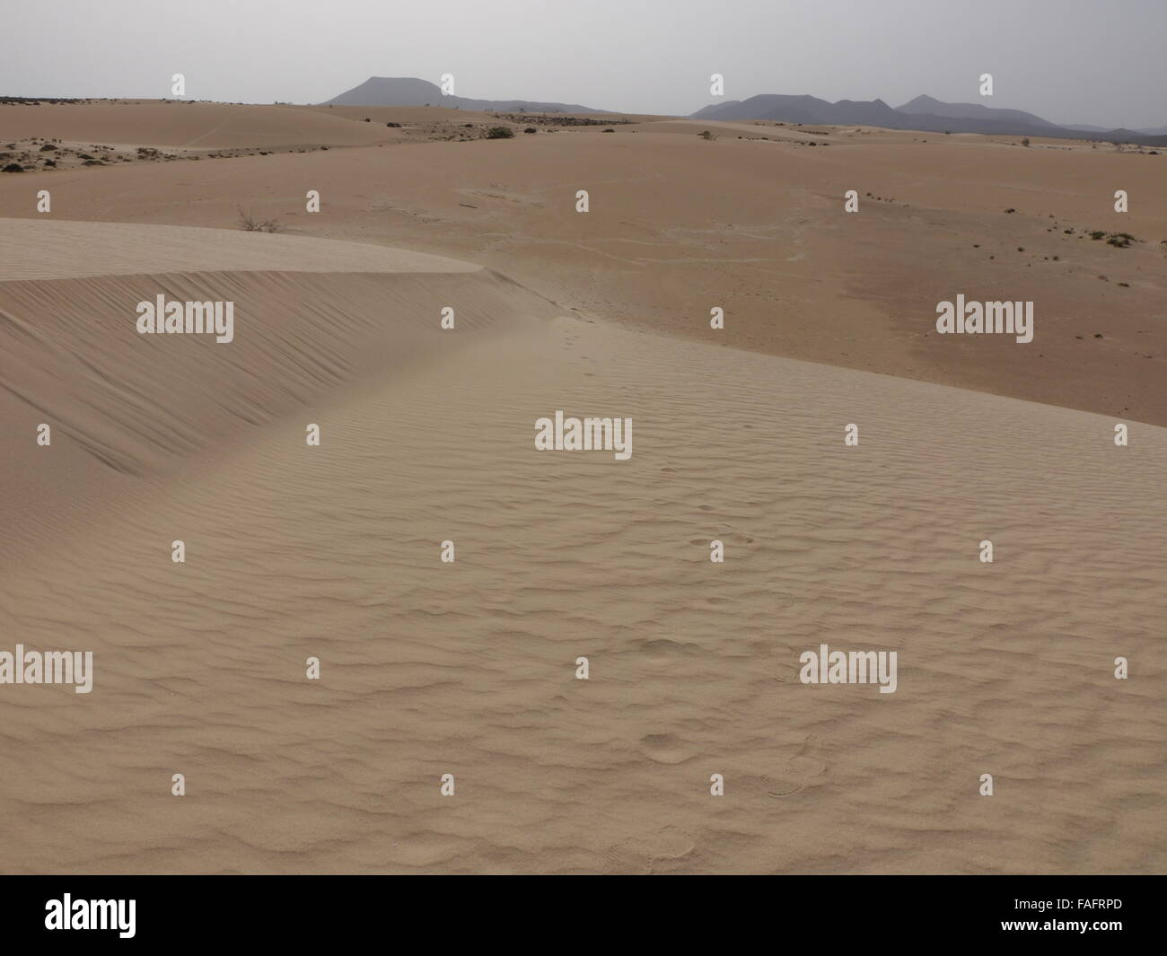 Sand patterns on the Nature reserve, Park Natural, Corralejo ...