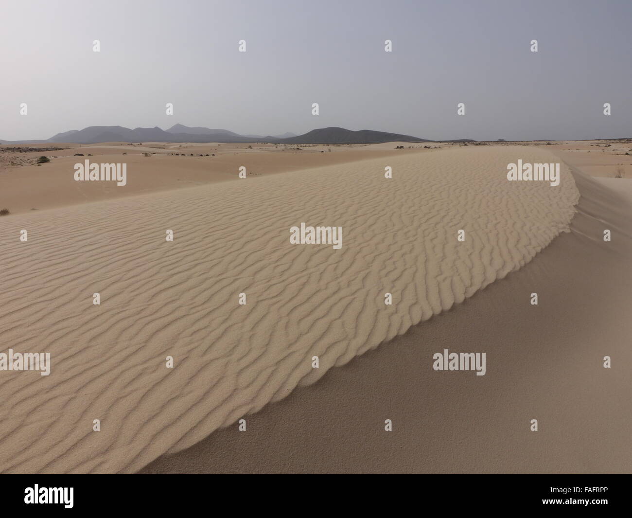 Sand patterns on the Nature reserve, Park Natural, Corralejo ...