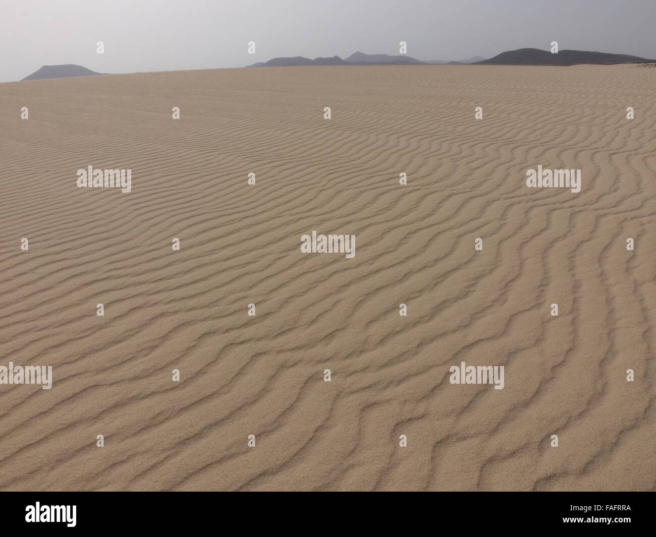 Sand patterns on the Nature reserve, Park Natural, Corralejo ...