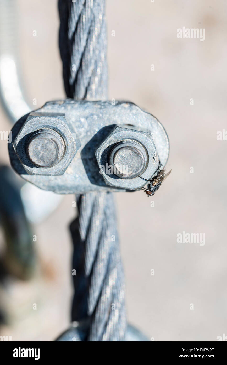 Cable tensor hi-res stock photography and images - Alamy