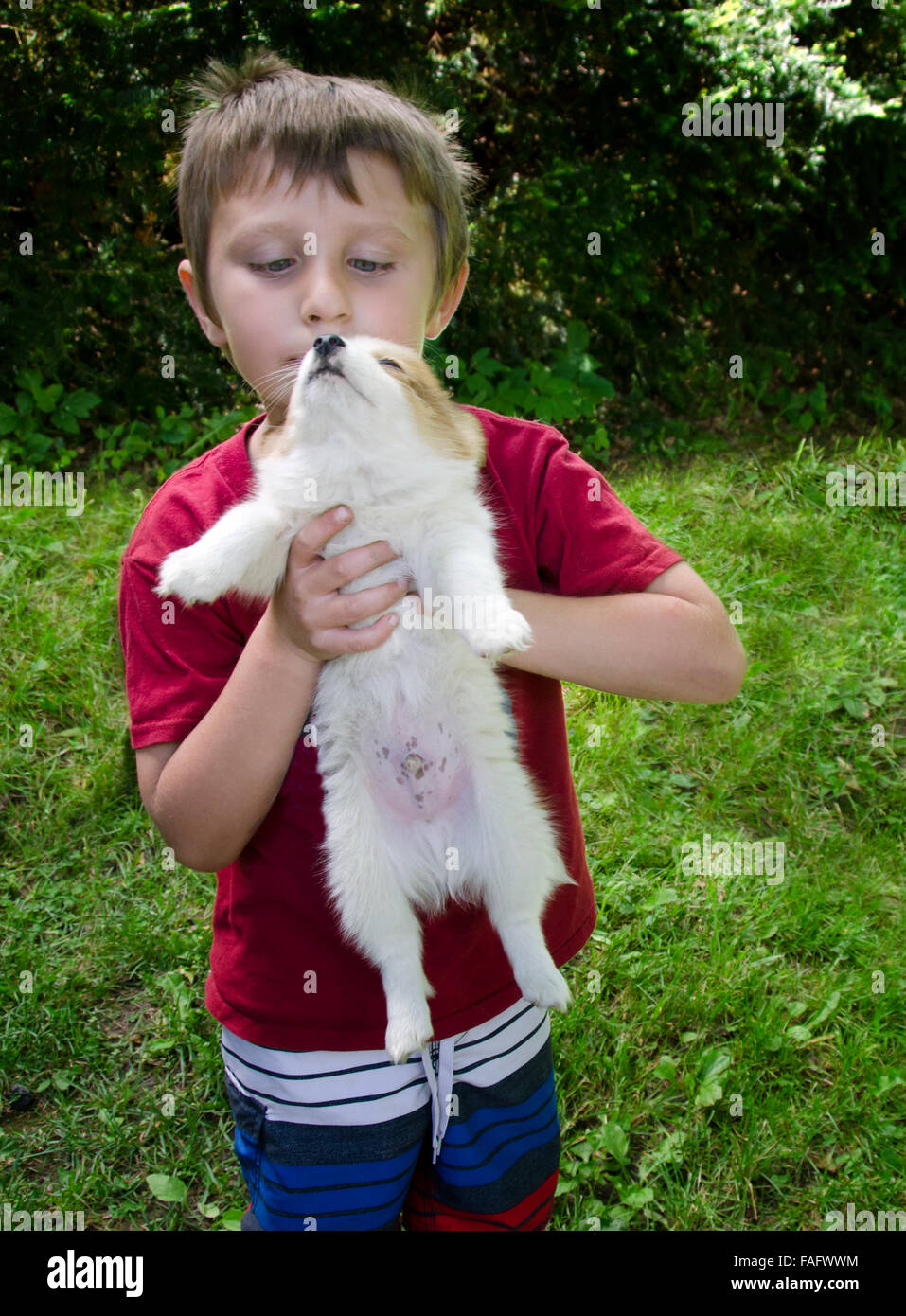 Boy and puppy dog Stock Photo - Alamy