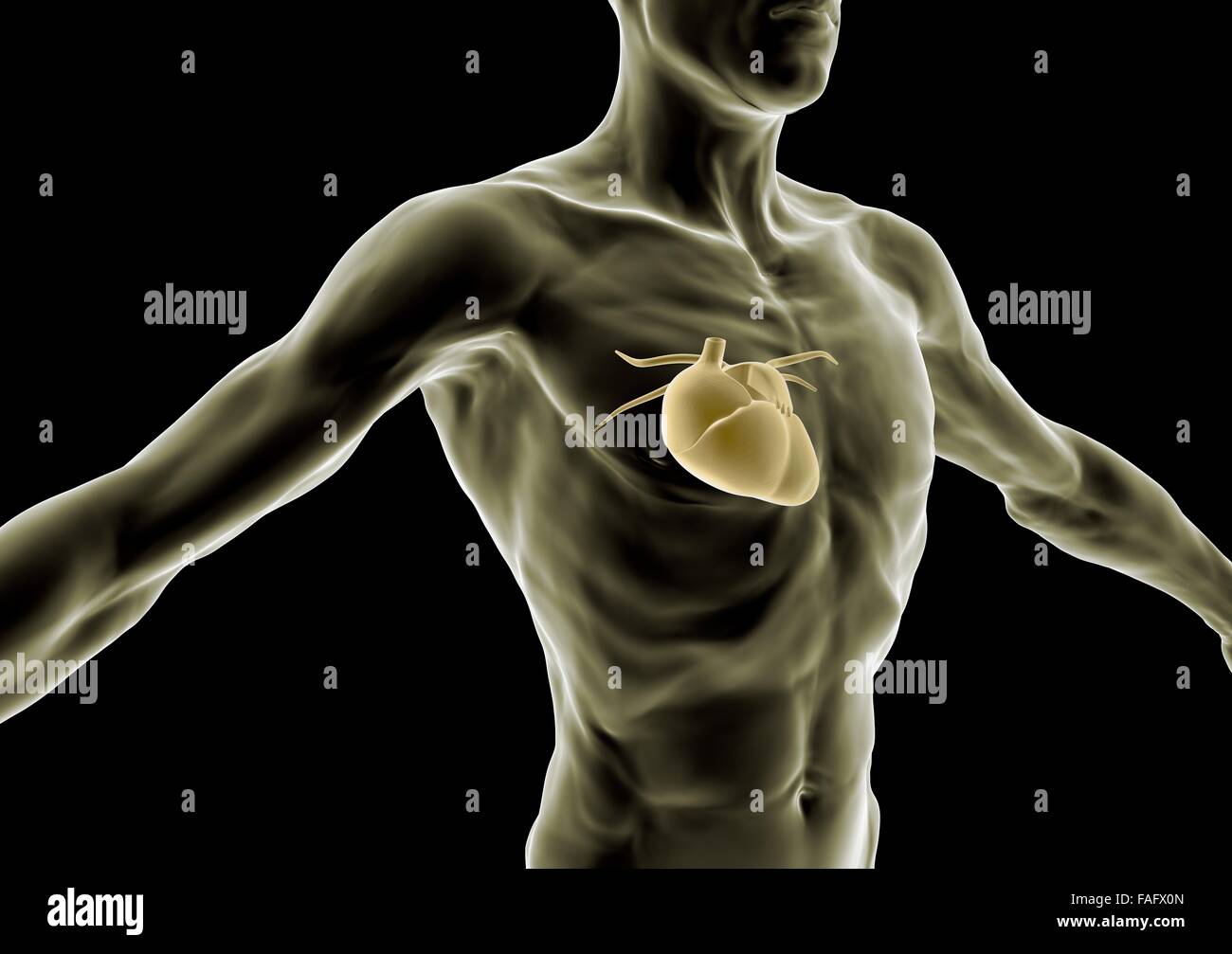 Underweight person hi-res stock photography and images - Alamy