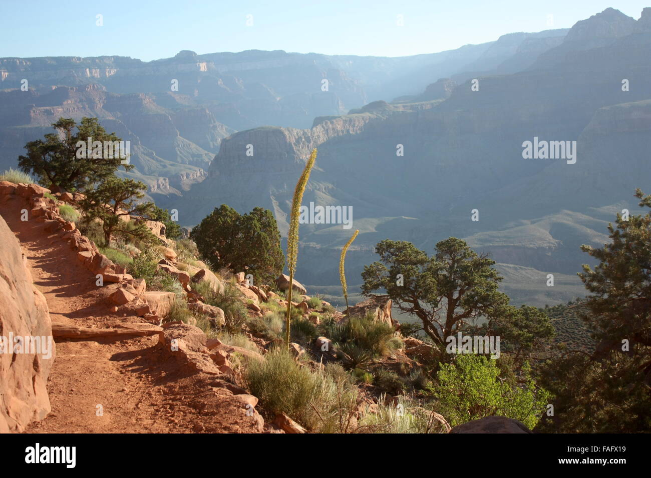 grand canyon national park, bright angel trail Stock Photo - Alamy