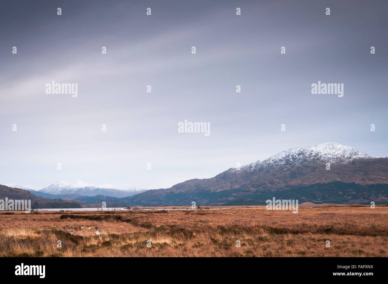 Claish moss hi-res stock photography and images - Alamy