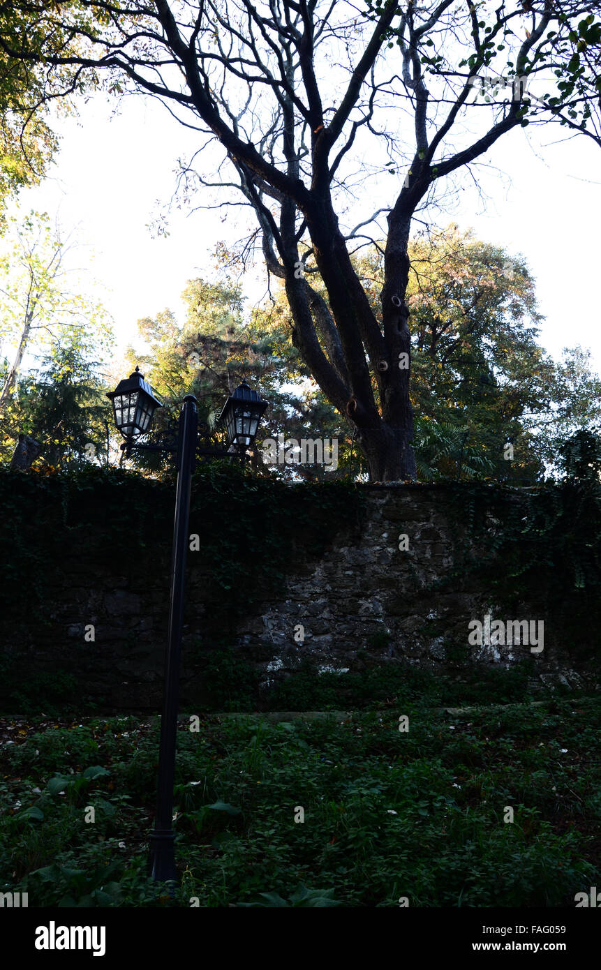 Night Lamb behind the garden wall Stock Photo - Alamy