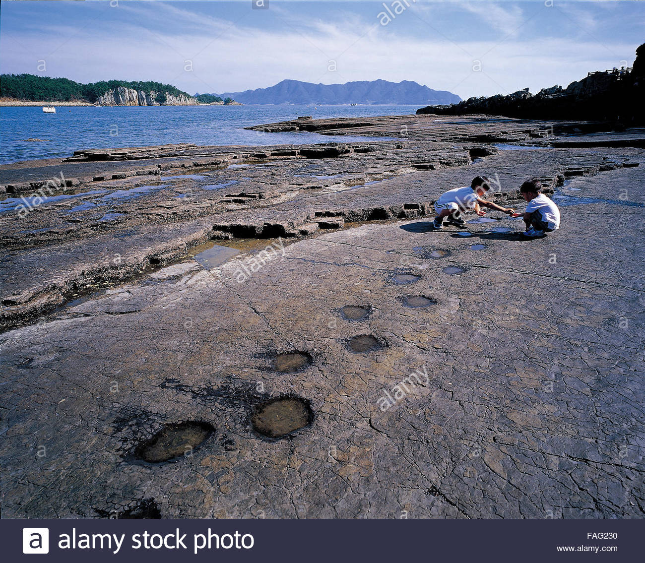 Dinosaur Footprint Fossil Stock Photos & Dinosaur Footprint Fossil ...