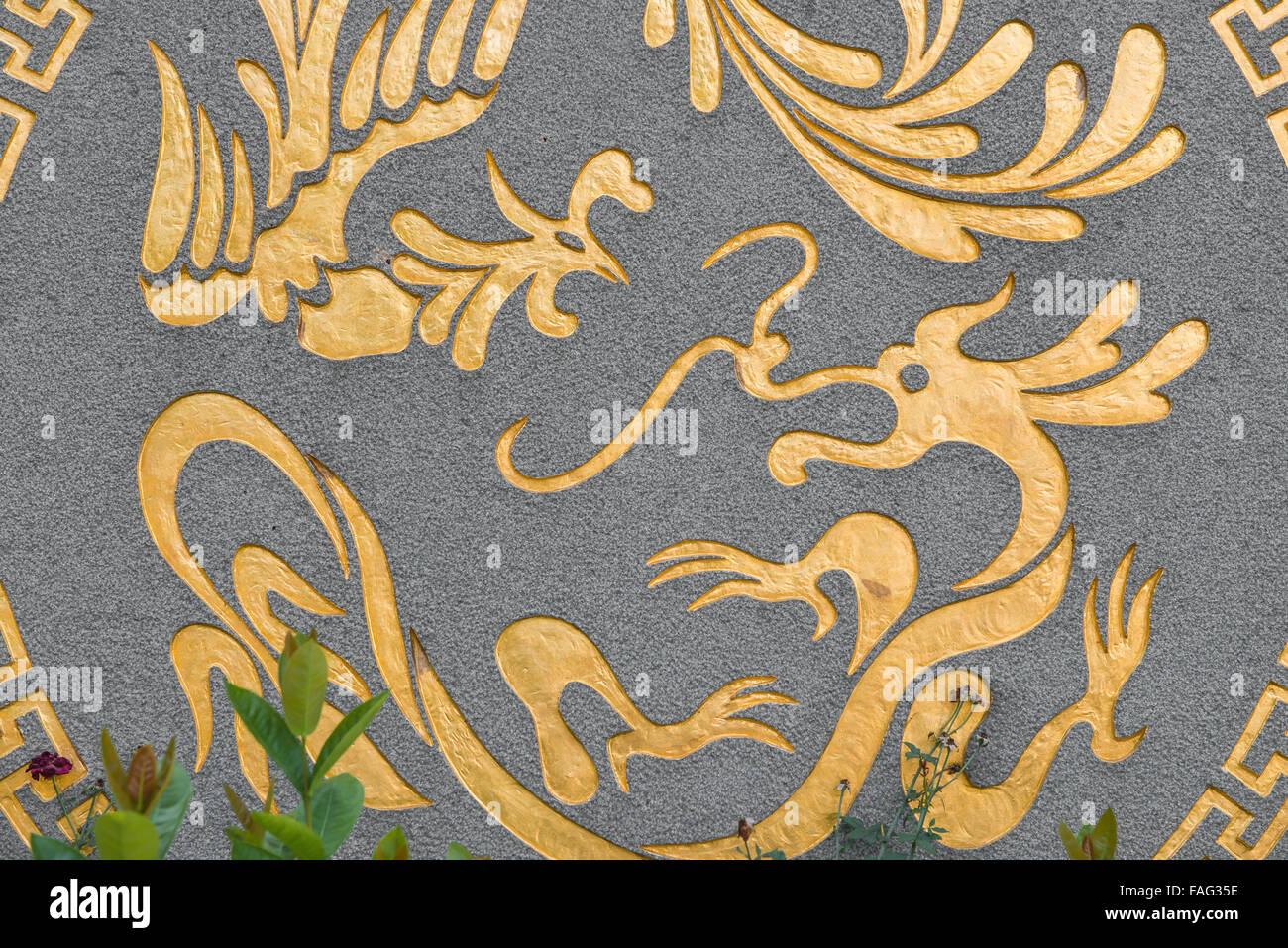 Chinese dragon and phoenix illustration hi-res stock photography and ...