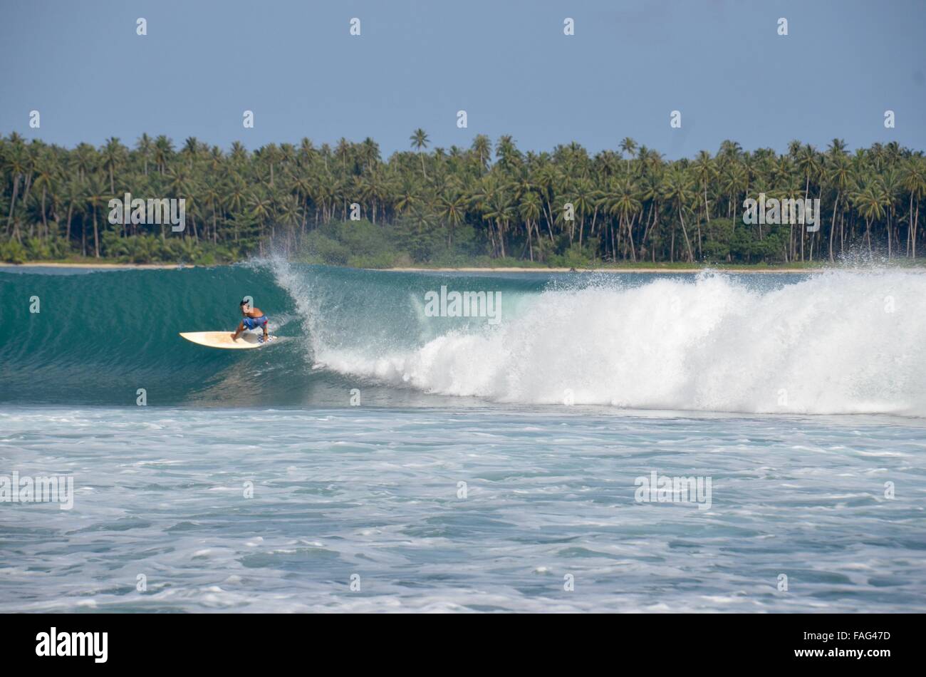 Nias hi-res stock photography and images - Alamy