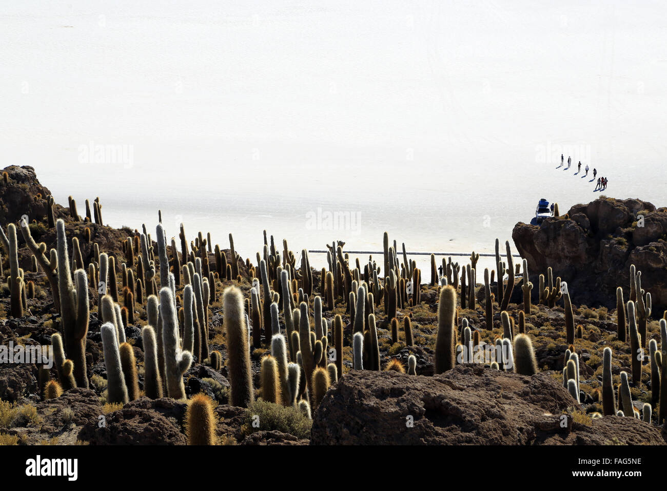 South America Bolivia Uyuni Stock Photo - Alamy