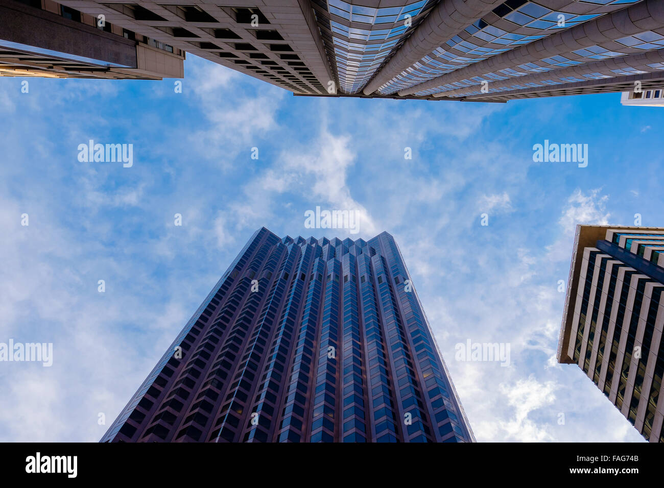 Tall highrise buildings in the financial district of downtown San ...