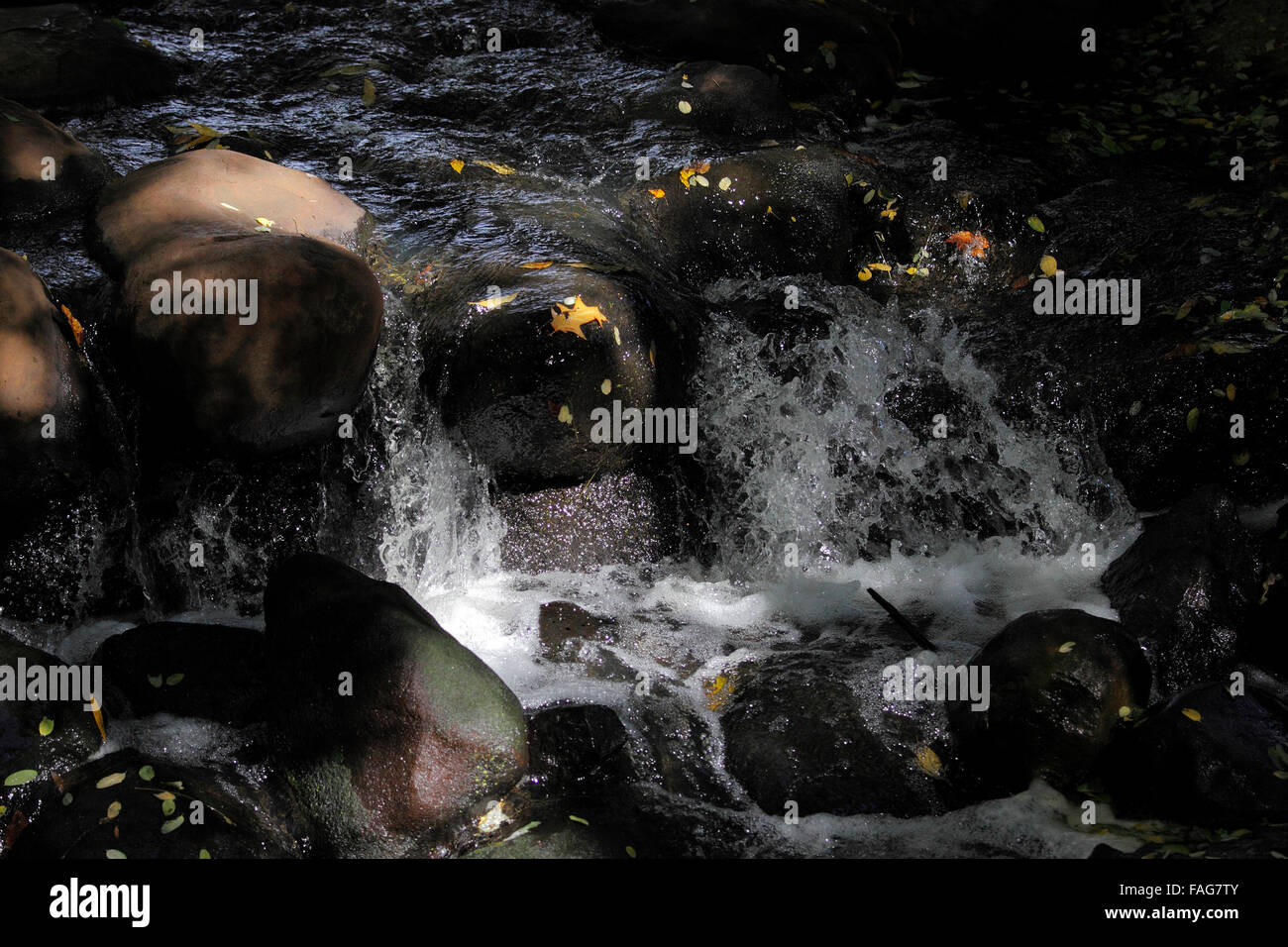 Stream foam hi-res stock photography and images - Alamy