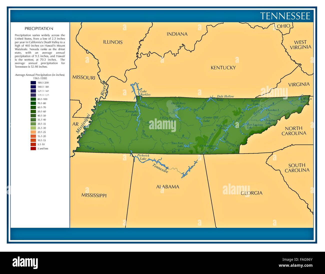 Tennessee state bird hi-res stock photography and images - Alamy