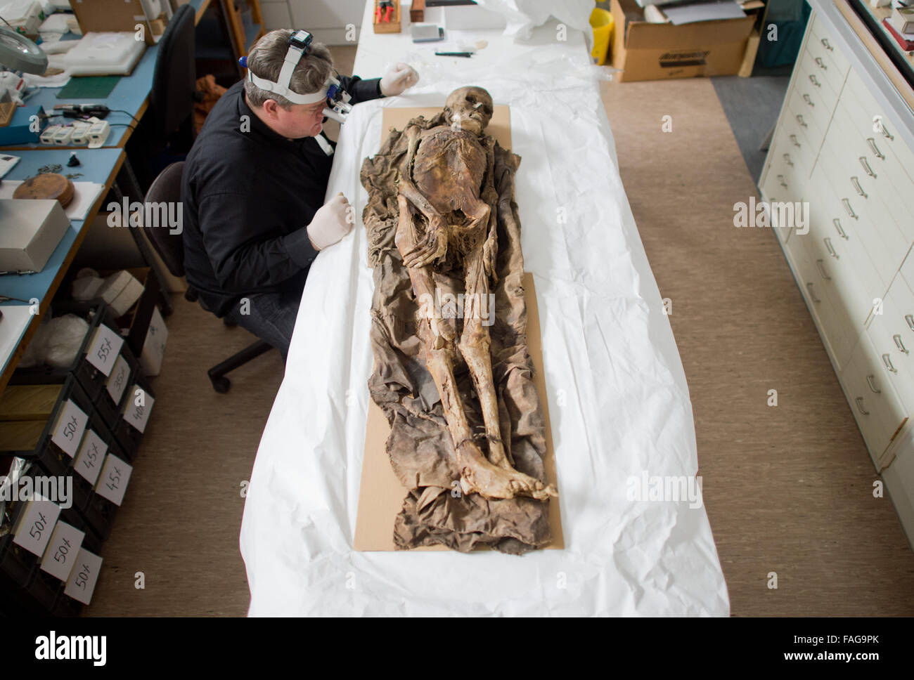 Roemer and pelizaeus museum hildesheim hi-res stock photography and ...