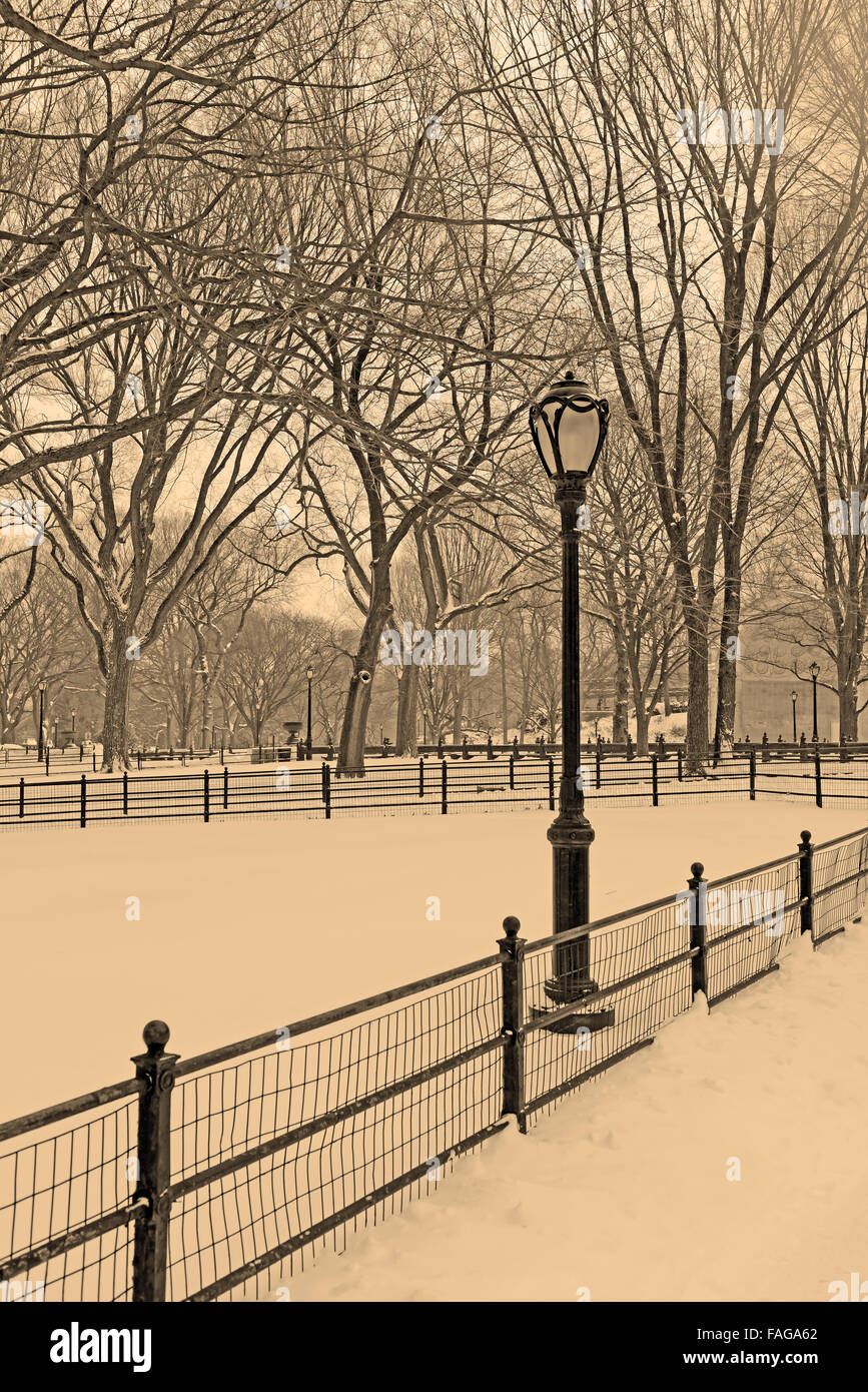 Central park after snowstorm hi-res stock photography and images - Alamy