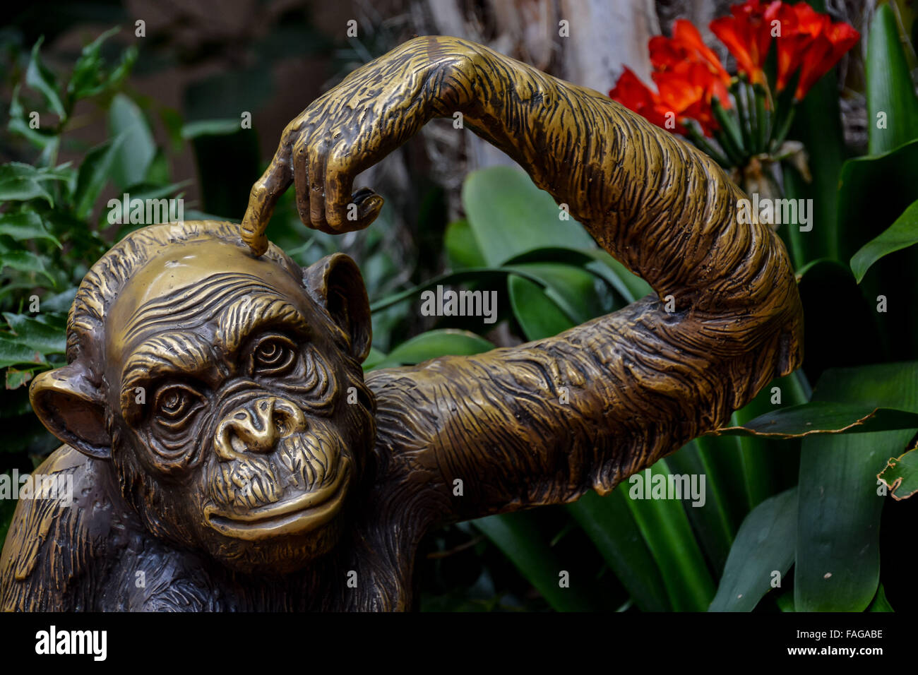 Statue of Chimpanzee Stock Photo - Alamy