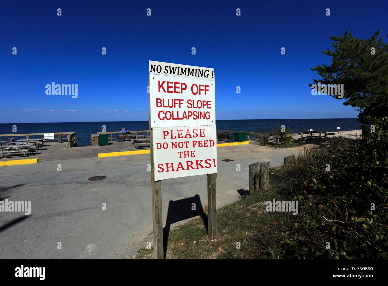 Wildwood State Park Long Island New York Stock Photo - Alamy