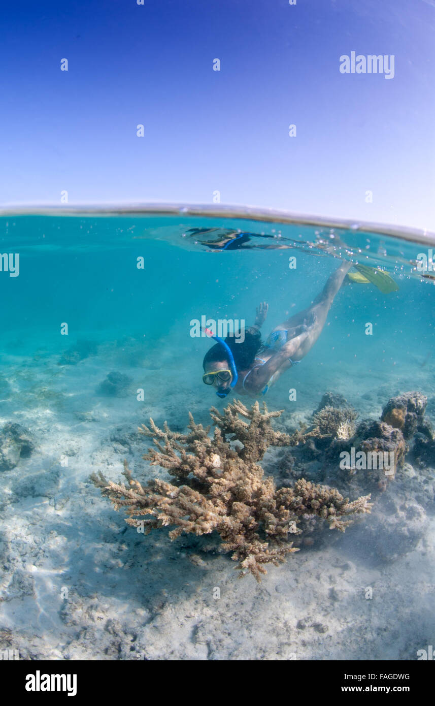 Mather pike hi-res stock photography and images - Alamy