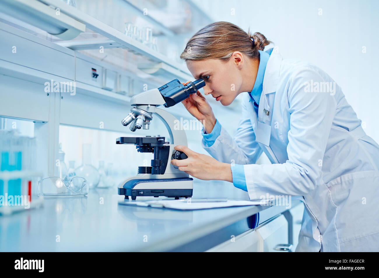 Scientist studying hi-res stock photography and images - Alamy