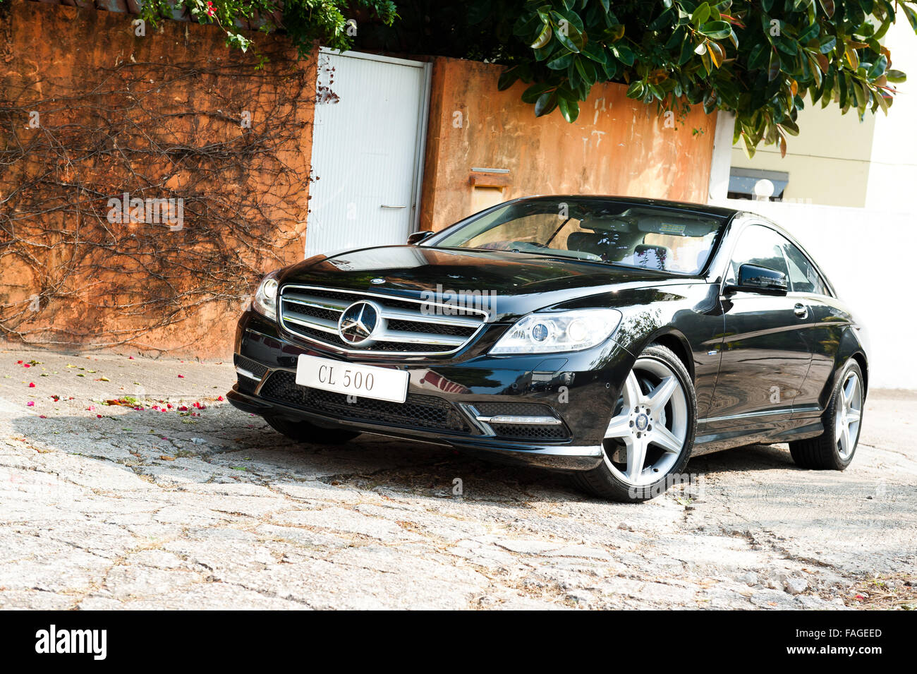2011 Mercedes Benz Cl500