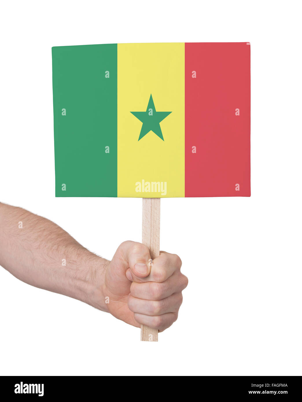Hand holding small card, isolated on white - Flag of Senegal Stock ...