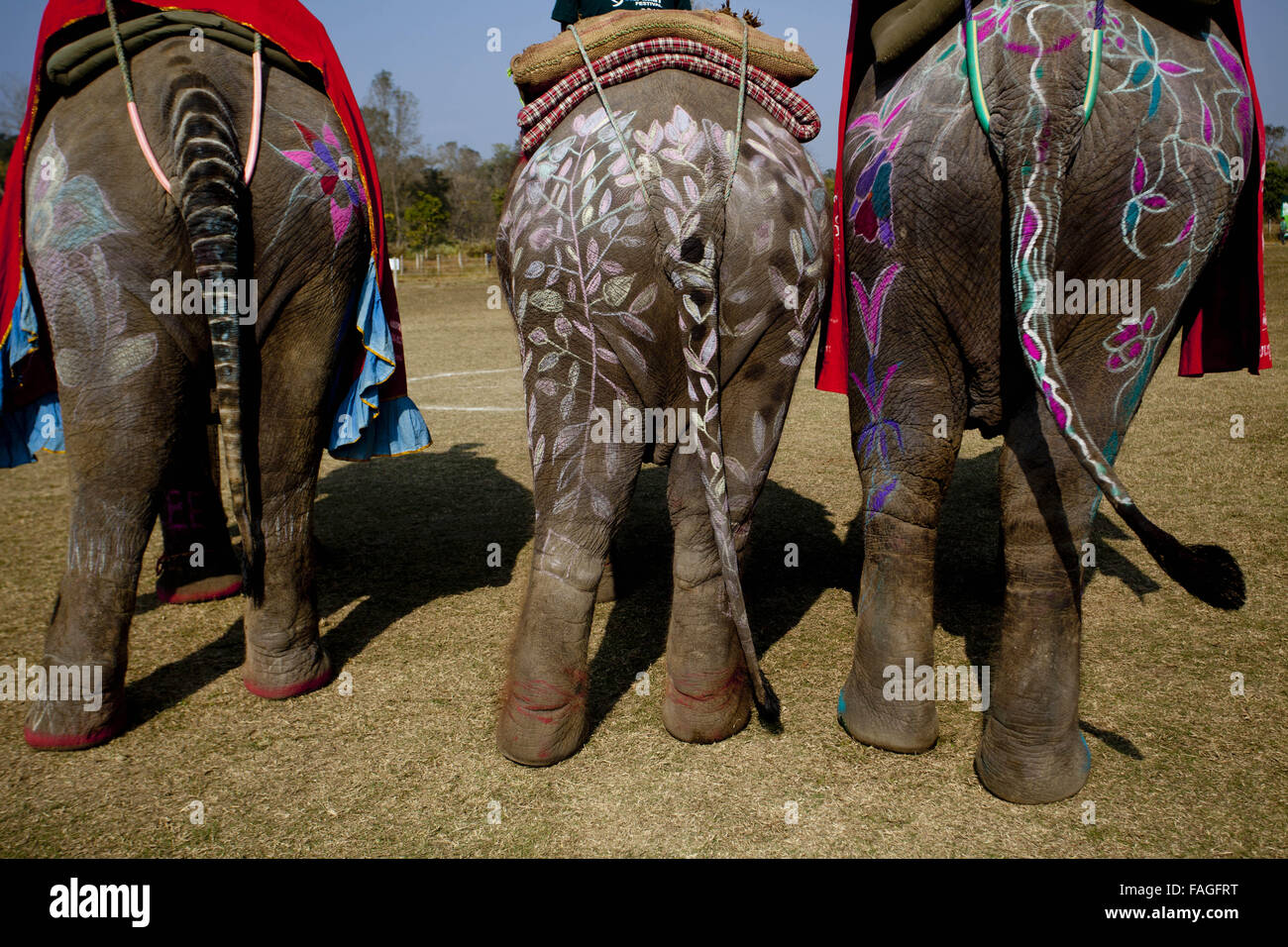 Suraha hi-res stock photography and images - Alamy