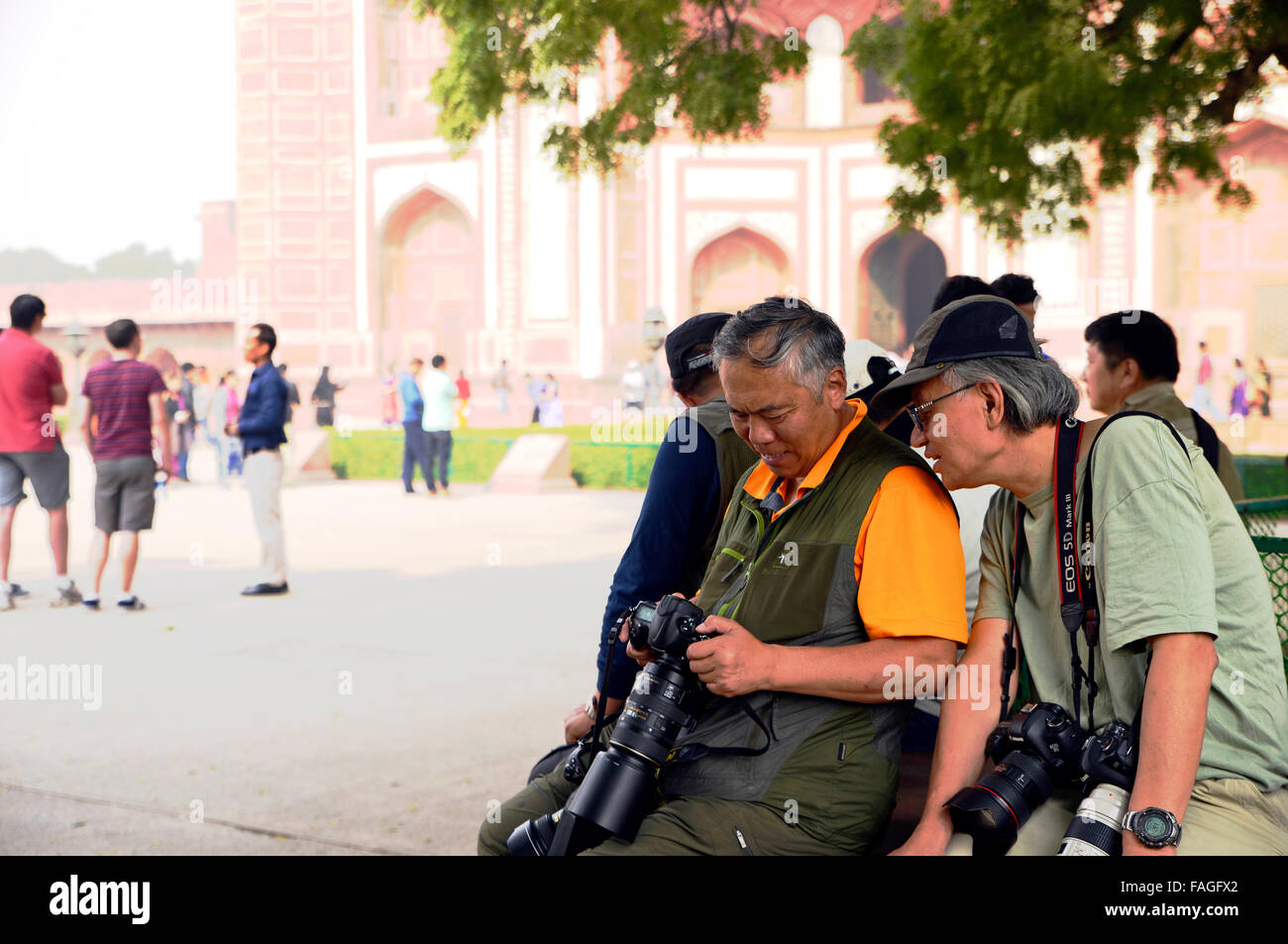 Professional photographer watching camera display Stock Photo - Alamy