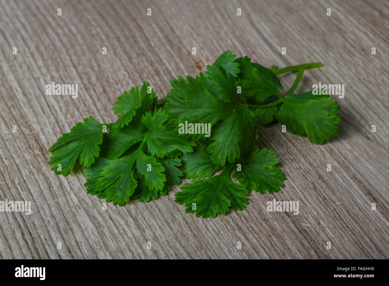 Fresh Green coriander leaves on the wood background Stock Photo - Alamy