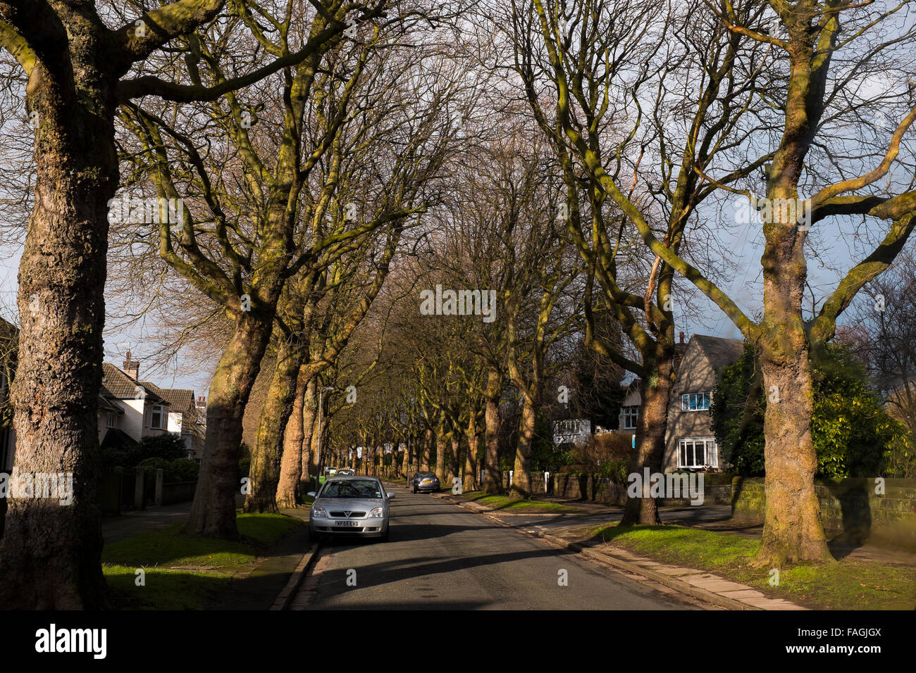 A view down Dudlow Lane, Liverpool L18, typical leafy upper class ...