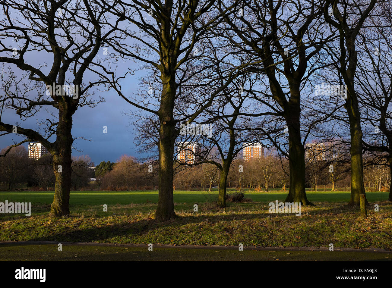 A view across Sefton Park, Liverpool, typical leafy suburbs of ...